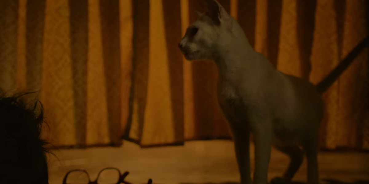 Murder Mubarak: Does Prince Harry The Cat Die? How?