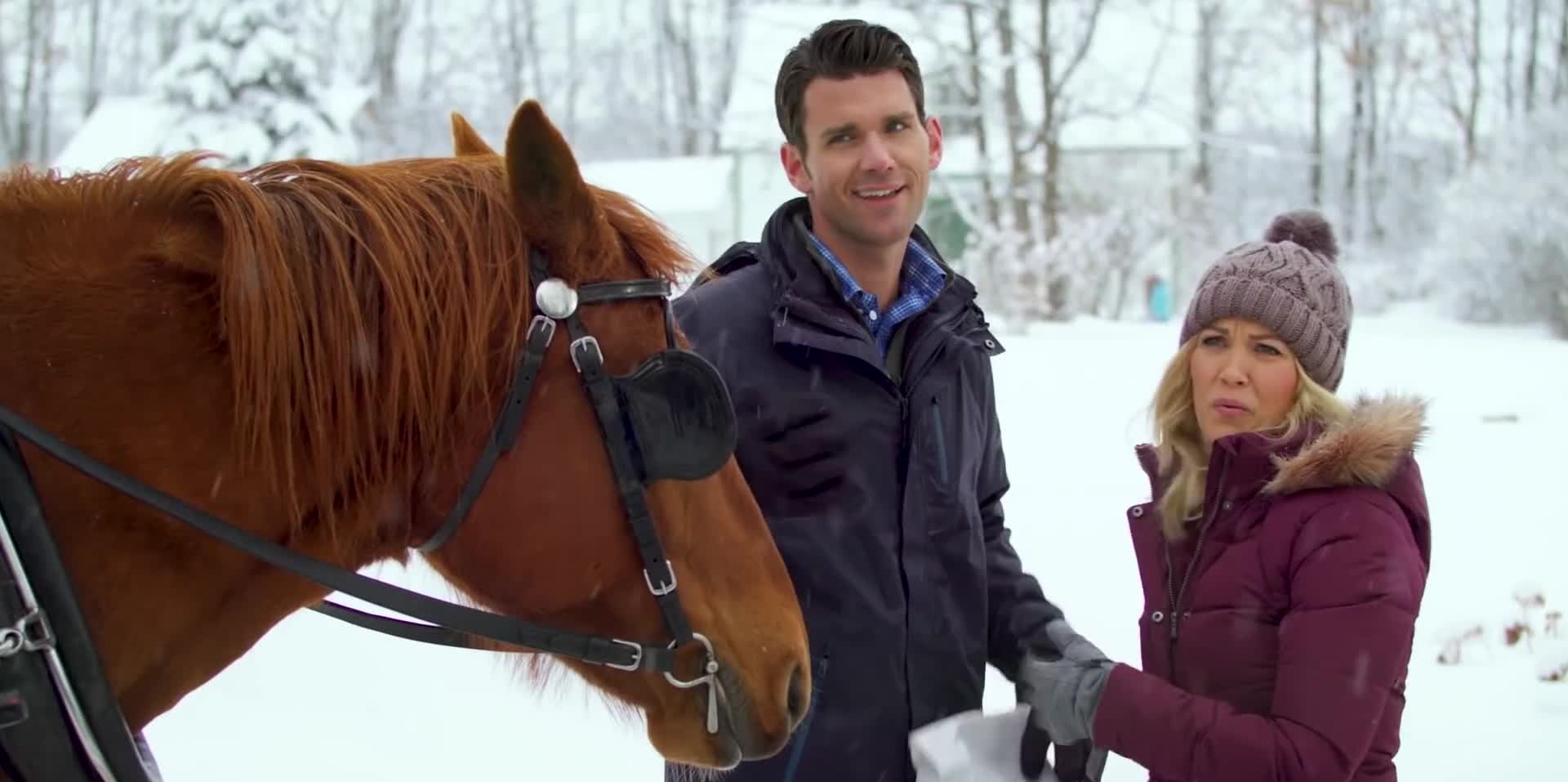 Hallmark's Winter Castle (2019): Filming Locations and Cast Details