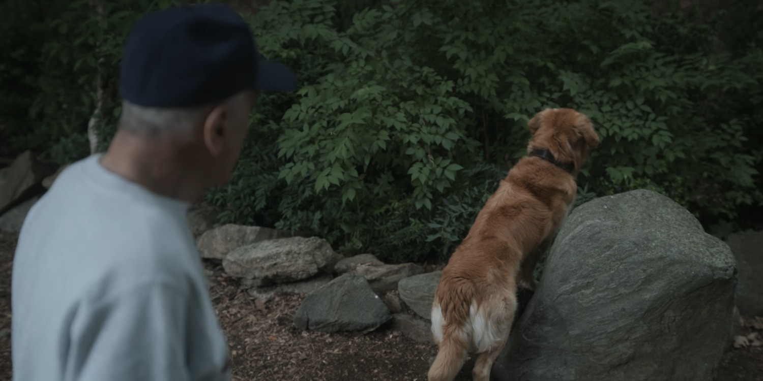 Zero Day: What Happens to Del the Dog? What Breed is it?