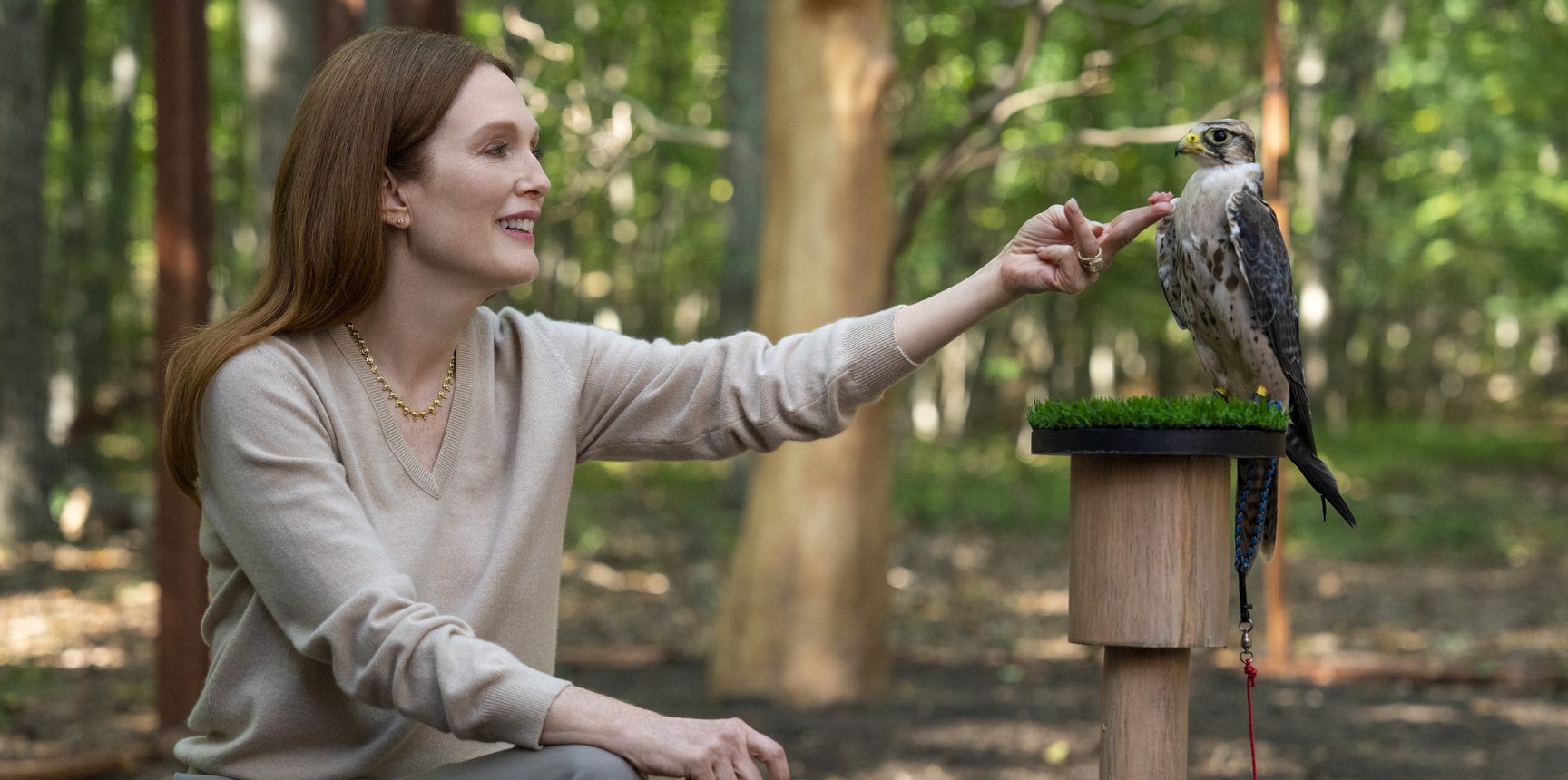 Does Barnaby the Bird Die in Sirens?