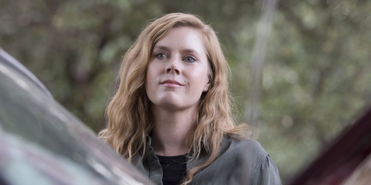 10 Shows Like Untamed You Must See