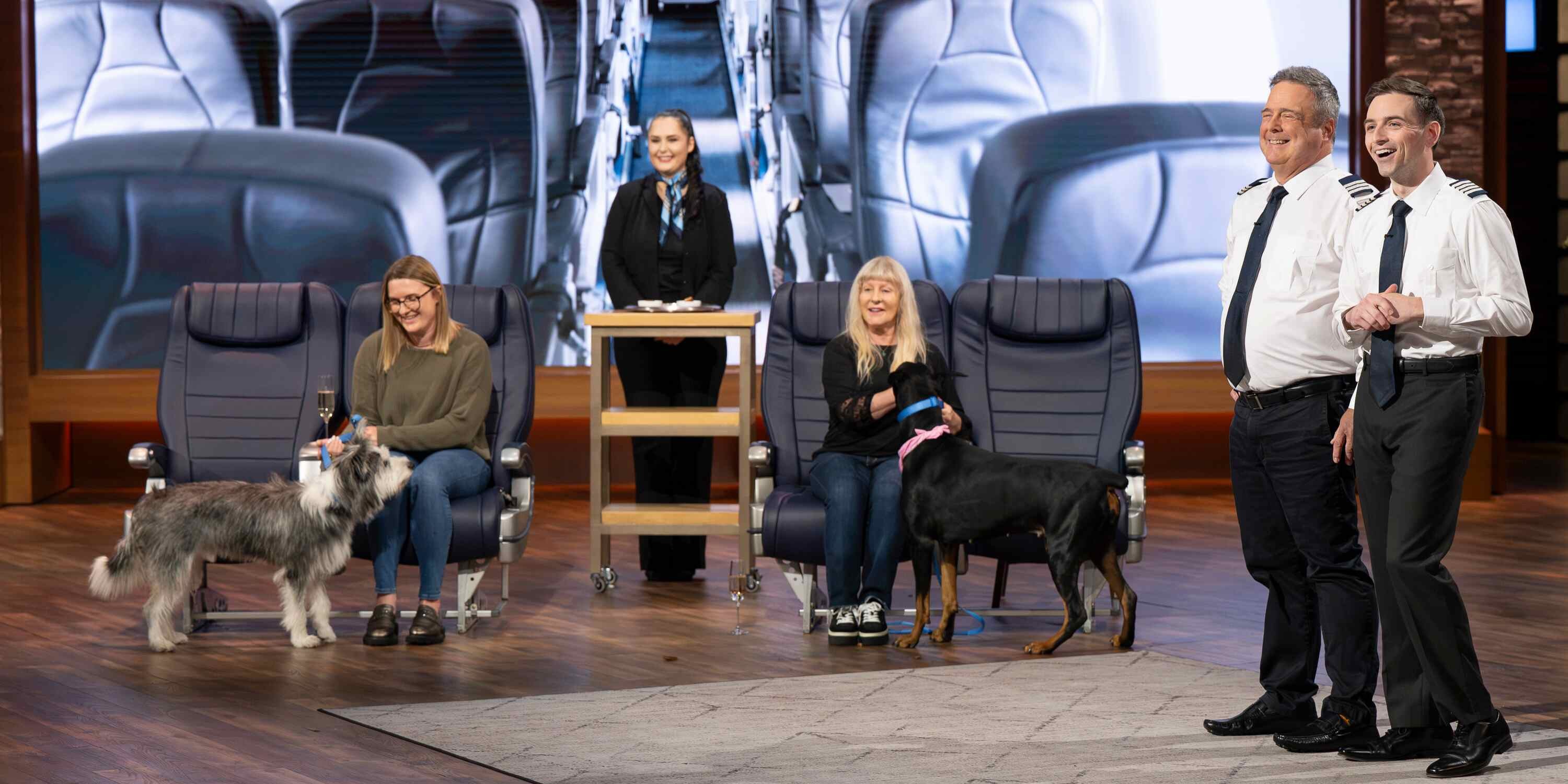 RetrievAir Shark Tank Update: Flying Made Simple For Dog Owners