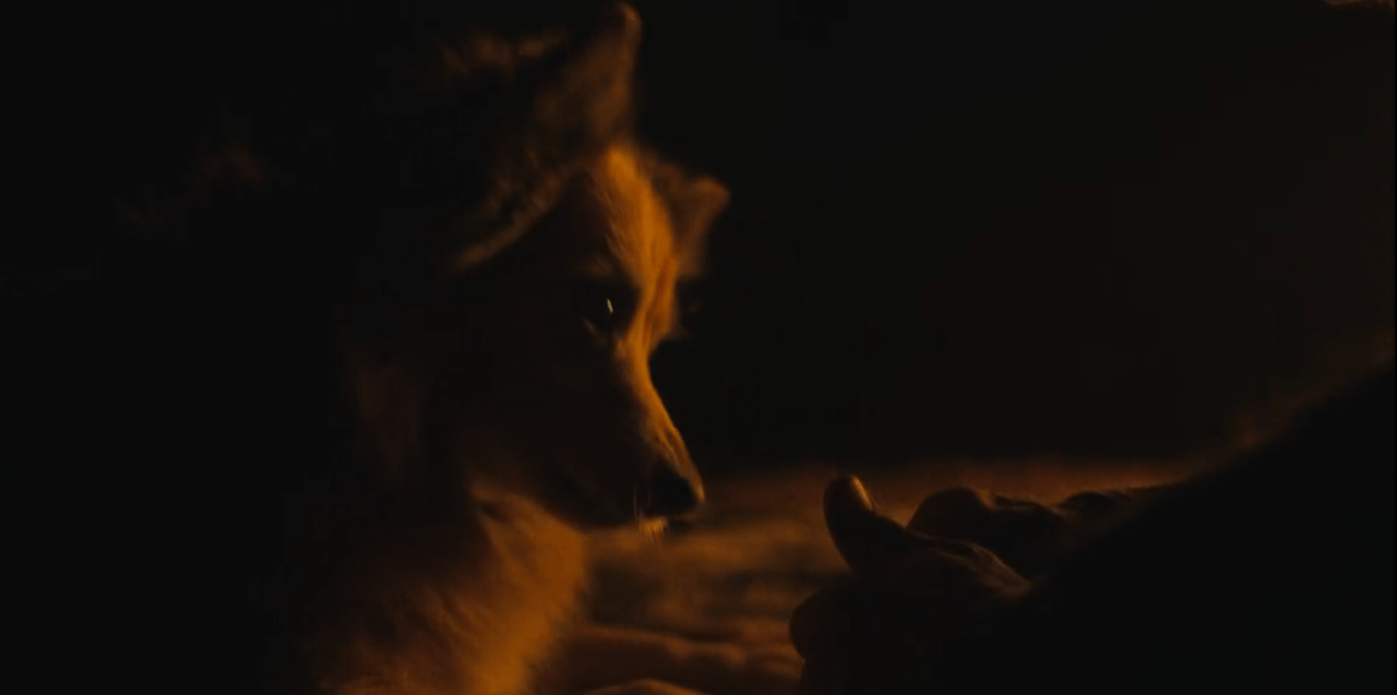 Does the Red Dog Die in Train Dreams?
