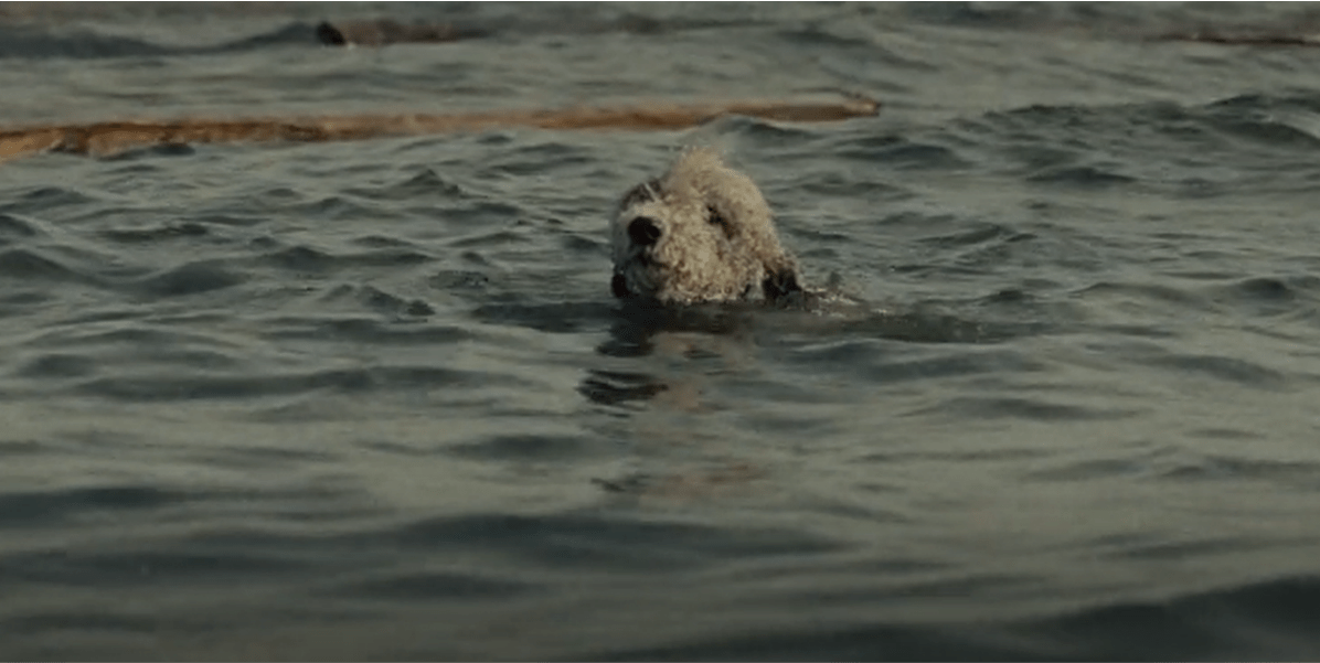 Does the Dog Live or Die in Sisu: Road to Revenge?